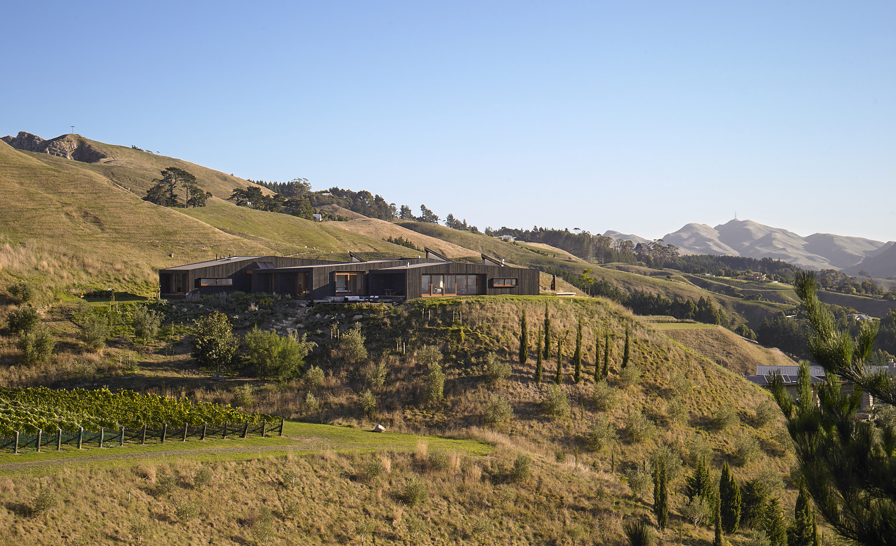 Te Mata House - Stevens Lawson Architects