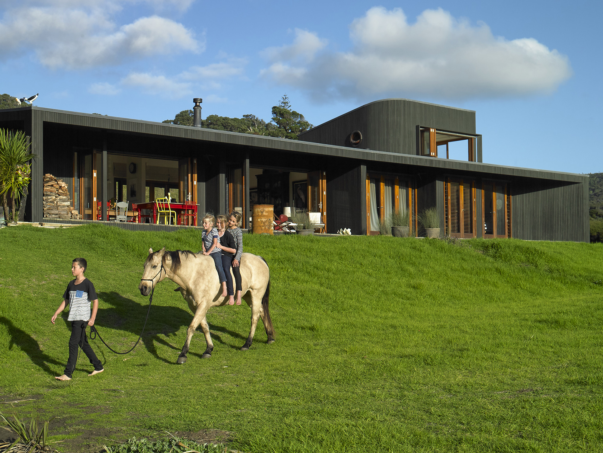 Te Henga House - Stevens Lawson Architects