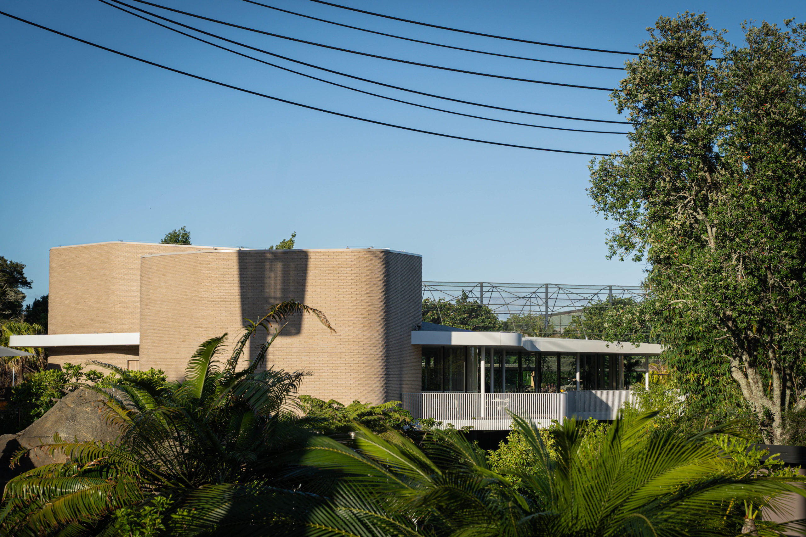 Te Puna at Auckland Zoo - Stevens Lawson Architects